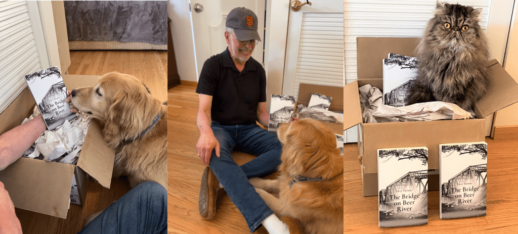 The Bridge on Beer River is Getting Closer! - Terry Tierney