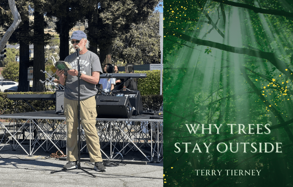 Read My Interview With Award-Winning Author Anne Leigh Parrish! - Terry ...